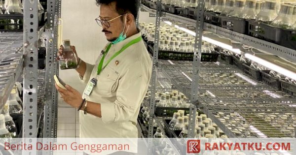 Tingkatkan Budi Daya Anggrek, Mentan Dorong Perusahaan Eka Karya Flora ...