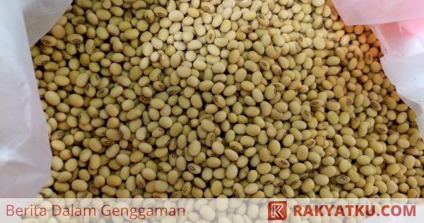 Kementan Bangkitkan Kedelai Nasional Melalui Kepastian Harga dan Pasar Kementan Bangkitkan Kedelai Nasional Melalui Kepastian Harga dan Pasar
